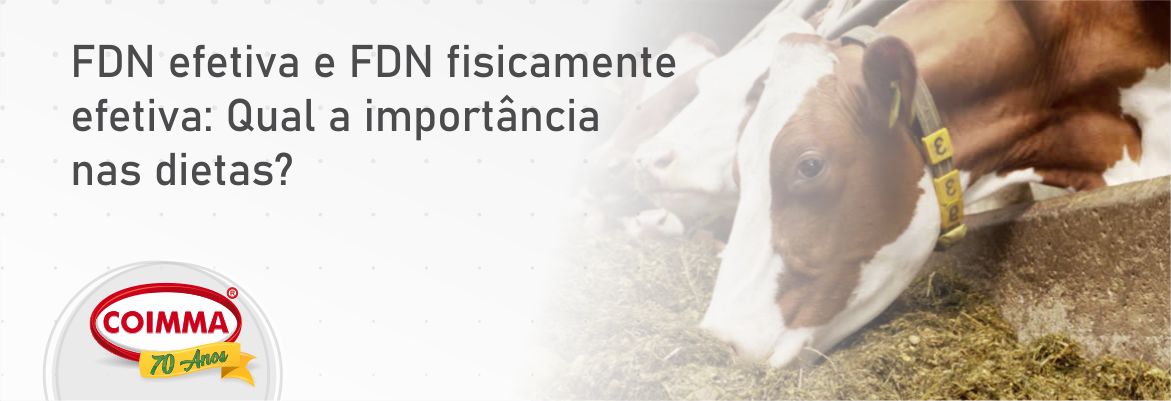 FDN e a importância na dieta: entenda como manter o pasto saudável!