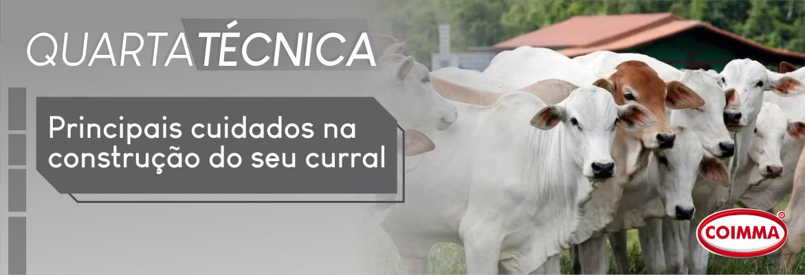 Principais cuidados na construção do seu curral